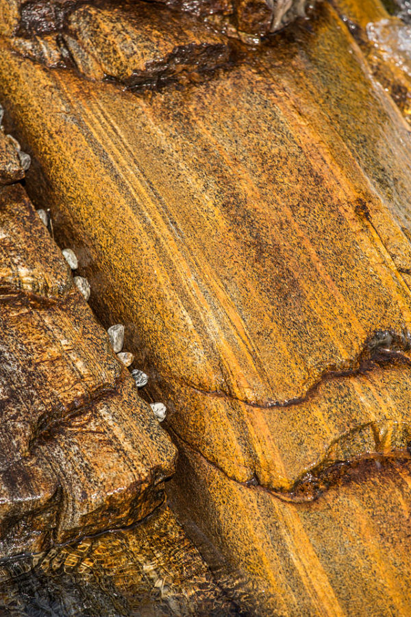 Texturen im Granit – Natur-Photocamp